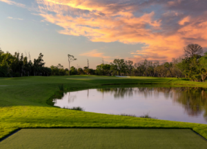 Golf - Saltleaf Golf Preserve