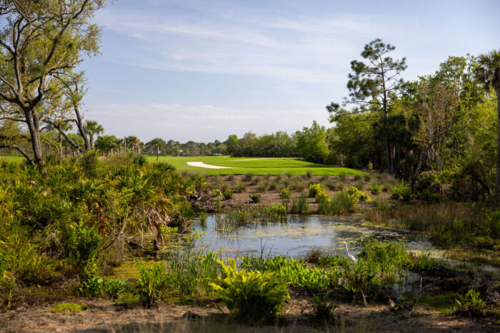 Gallery - Saltleaf Golf Preserve